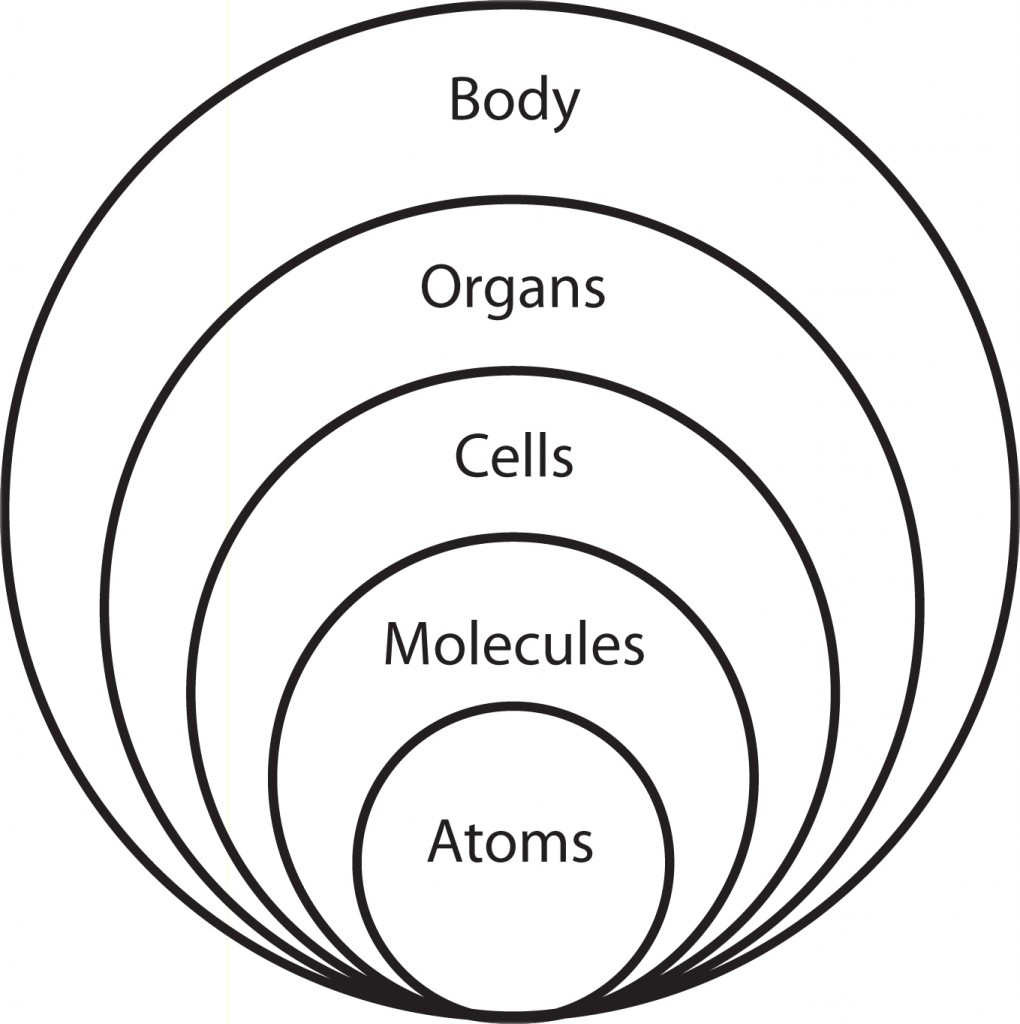 Viewing Massage Through a Holonic Lens